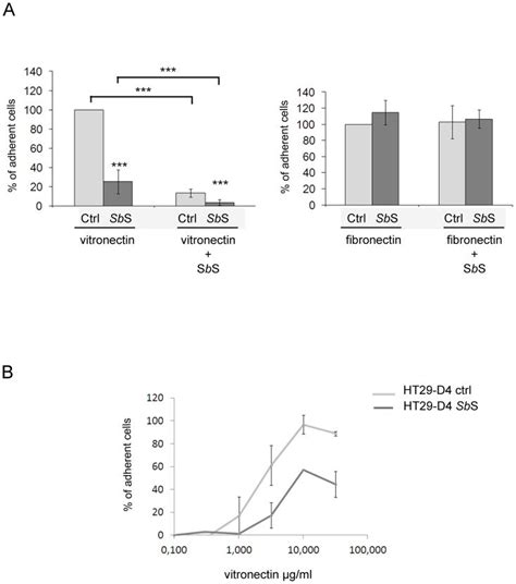 Vitronectin Plate Coating At Sandra Mcgregor Blog