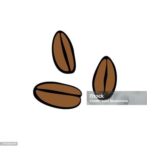 낙서 손으로 그린 커피 콩 커피 씨앗 개요 벡터 색상 클립 아트 갈색에 대한 스톡 벡터 아트 및 기타 이미지 갈색 개체 그룹 검은색 Istock