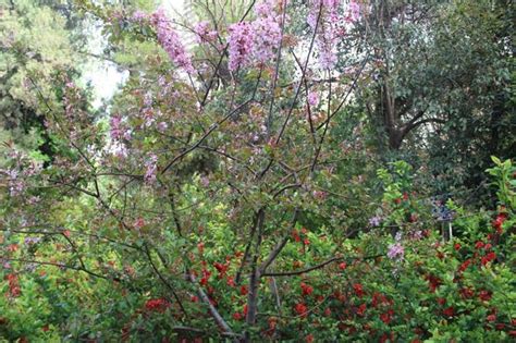春天鄭州碧沙崗鄭州人的百花園 每日頭條
