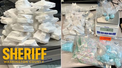 Oregon Drug Trafficking Ring Busted With Nearly Half A Million In Cash