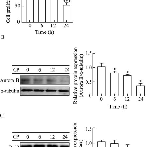 cisplatin treatment induced cell cycle arrest and cell apoptosis in