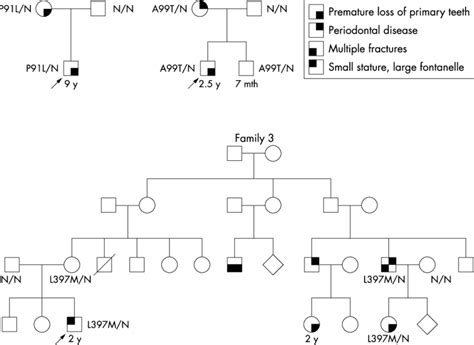 Pedigree Data And Mutation Analysis Results In The Three Families With