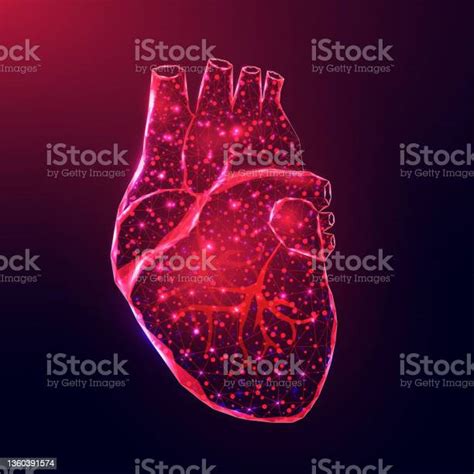 인간의 마음 와이어 프레임 낮은 폴리 스타일 의학 심장 질환에 대한 개념 진한 파란색 배경에 추상 현대 3d 벡터 그림 심장에