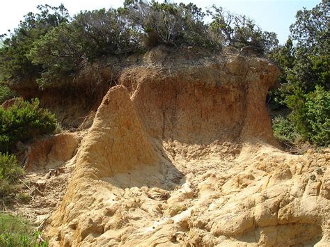 Rab Royal Rumpy Pumpy Traquo