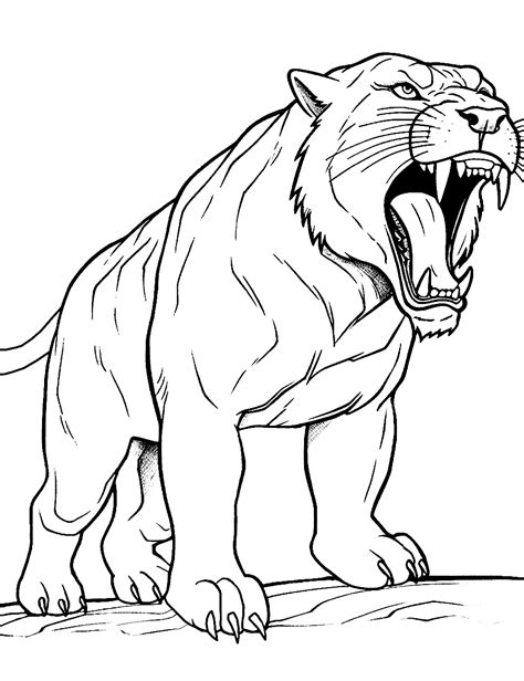 Saber Tooth Tiger Coloring