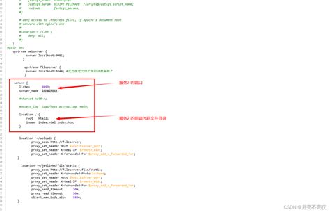 nginx 同时运行多个服务 nginx多服务器发请求是两个都接收 csdn博客