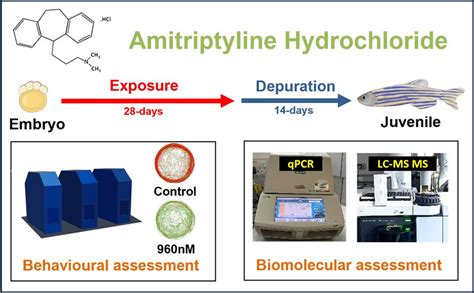 Exposure Effects Of Environmentally Relevant Concentrations Of The Tricyclic Antidepressant