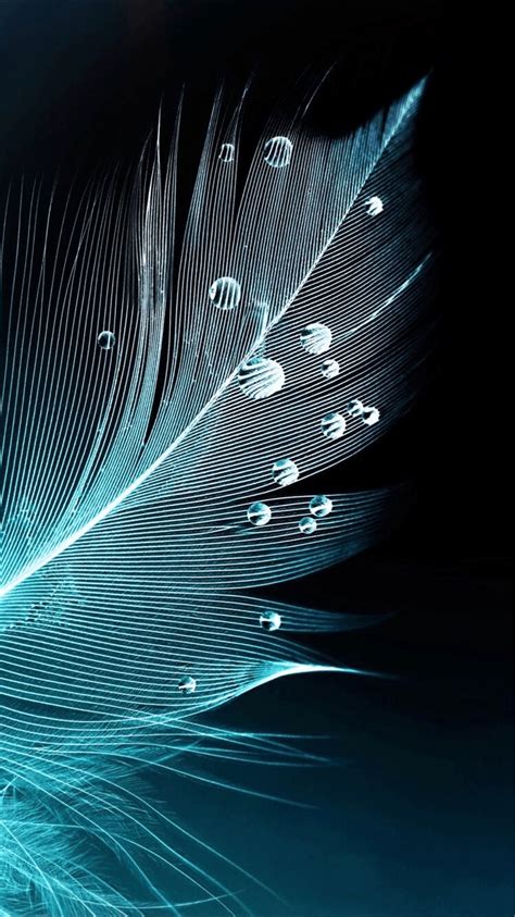Feather Phone Wallpapers Top Free Feather Phone Backgrounds