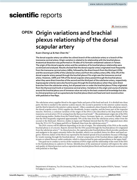 Pdf Origin Variations And Brachial Plexus Relationship Of The Dorsal Scapular Artery