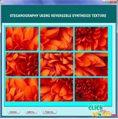 steganography using reversible texture synthesis clickmyproject