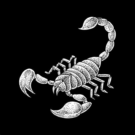 Vector Scorpion Illustration Black And White 36593738 Vector Art At