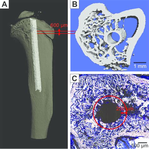 Schematic Of Evaluation Methodology Notes A Position Of Inserted Download Scientific