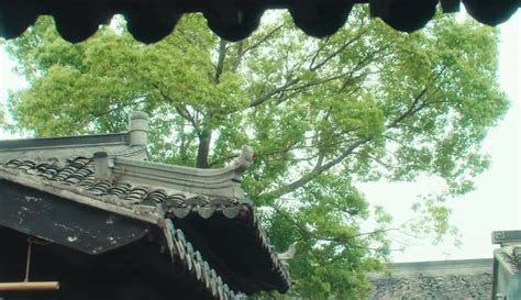 到家门口了 爱奇艺