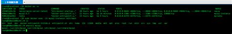 Docker 对容器中的文件进行编辑 Clya 博客园