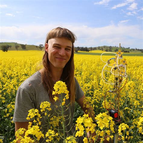 Artists Volcanic Winds