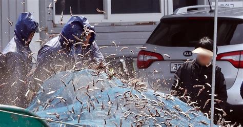 어촌 빈집의 변신은 무죄마을쉼터 등으로 새롭게 탈바꿈