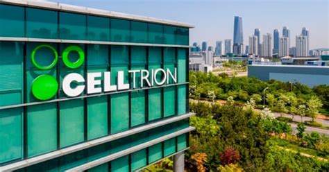 셀트리온 2033억 규모 자사주 소각 주주가치 극대화”