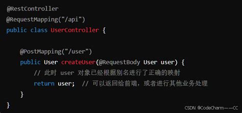 【注解】反序列化时匹配多个 Json 属性名 Jsonalias 详解 Csdn博客