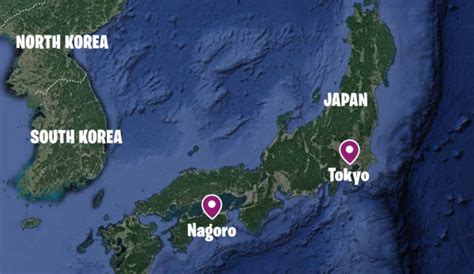 The Art Of Persuasion The Astonishing Story Of Nagoro Village And Its