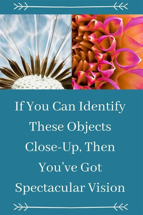 If You Can Identify These Objects Close Up Then Youve Got Spectacular
