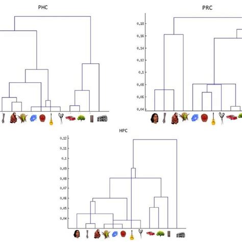 visualization of representational space hierarchical clustering for