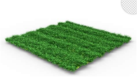 Grass Texture Seamless Psd Texture Green Texture Texture Mapping My