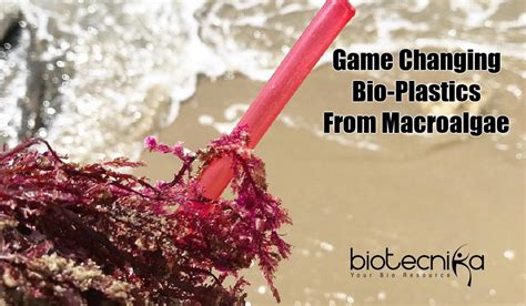 Eco Friendly Bio Plastics Made From Red Algae