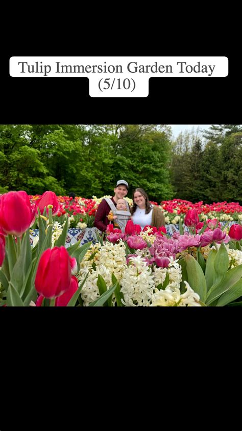 2025 Tulip Time Schedule Available Now Tulip Time Announces Expanded