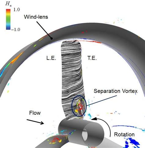 Vortex Structures And Limiting Stream Lines On Suction Surface At