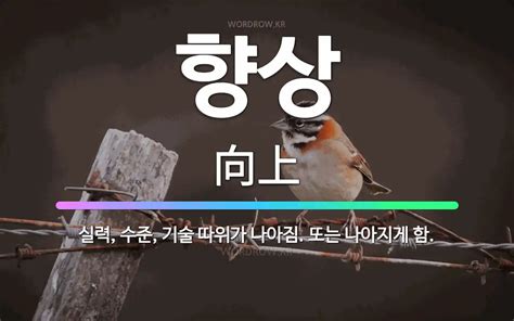 🌟향상 실력 수준 기술 따위가 나아짐 또는 나아지게 함 표준국어대사전