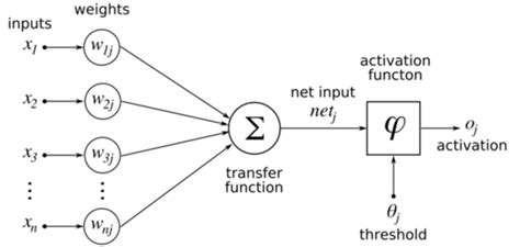 Diagram Of The Mcculloch Pitts Model For Neural Networks Source Download Scientific Diagram