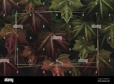 Rectangle Gold Frame On Hand Drawn Autumn Maple Leaf Patterned Background Vector Stock Vector