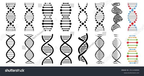 Dna String Icon Dna Strand Double Stock Vector Royalty Free