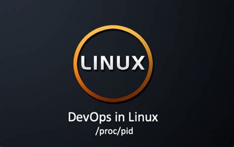 linux — proc pid directory part five by tony geek culture medium