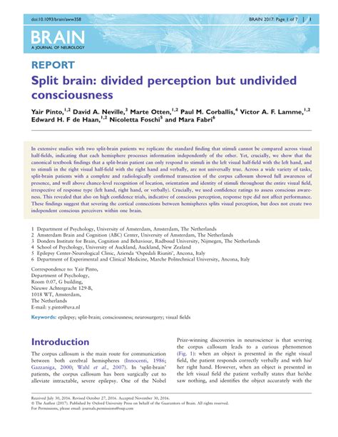 Pdf Split Brain Divided Perception But Undivided Consciousness Pdf Split Brain Divided Perception But Undivided Consciousness