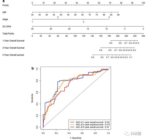 列线图 第5页 大山谷图库