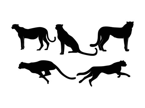 Cheetah Outline Vector Art Icons And Graphics For Free Download