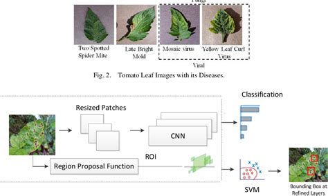 Figure 2 From Tomato Leaf Disease Detection Using Deep Learning Techniques Semantic Scholar