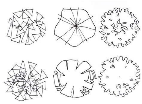 Tree Plan Drawings Images Browse 401 Stock Photos Vectors And Video Adobe Stock