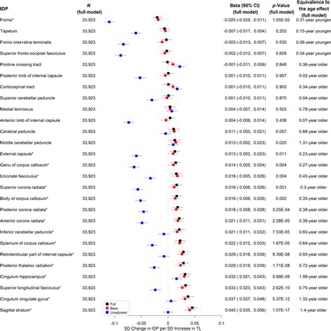 Associations Between Telomere Length And Weighted‐mean Mean Diffusivity
