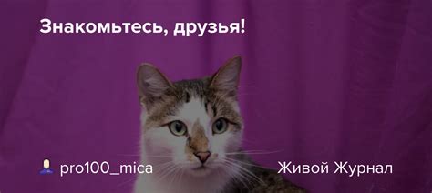 Знакомьтесь друзья Pro100 Mica — Livejournal