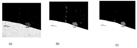 Segmentation Results On The Berkeley Dataset 167062 Image A Fcm