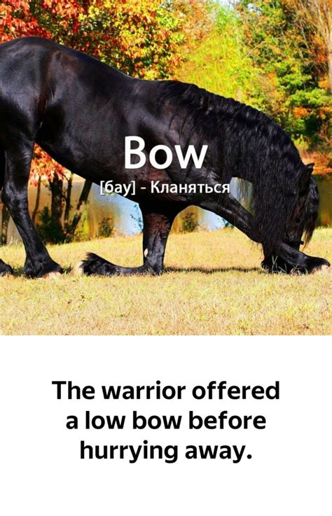 Учим английские слова с примерами и переводом Английский Изучение английского Слова