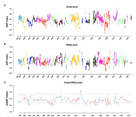 Single nucleotide polymorphism index and Δ SNP index in BSA seq