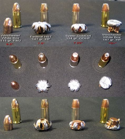 Forensic Science Noah Whetstone