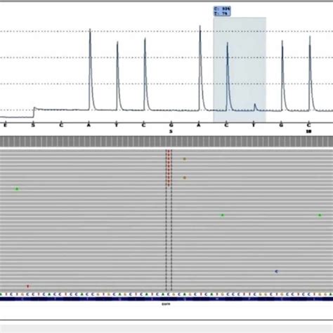 Egfr Exon 19 Pyro Gram And Miseq Bam Pileup Ngs Format Of Aligned