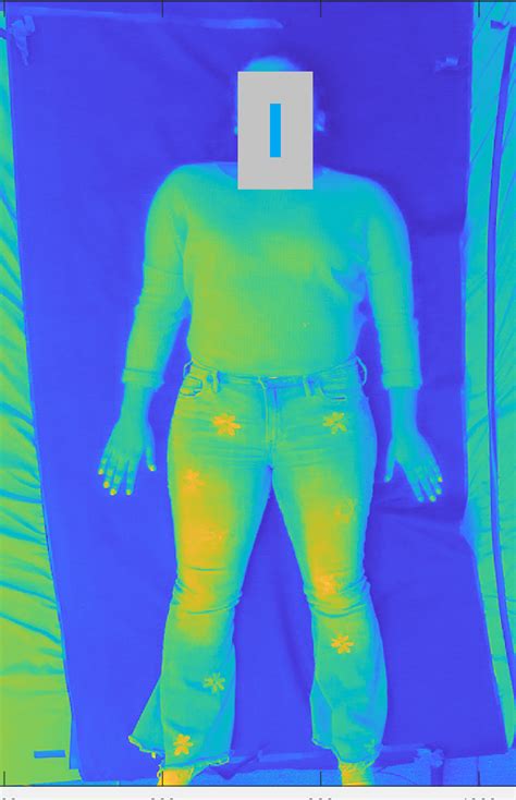 Getting Smpl Vertices From Pointcloud · Issue 11 · Healthcare Roboticsbodies At Rest · Github