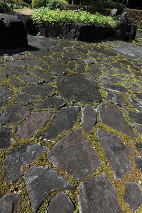 무료 이미지 잔디 록 조약돌 벽 아스팔트 포장 보도 못 높은 뒤뜰 흙 돌담 정원 자료 일본어 5d 스타일 고용하다 마당 마키 안녕