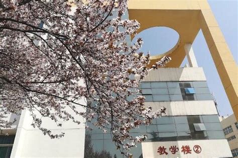 Tongchuan Vocational And Technical College Higher Ed Jobs