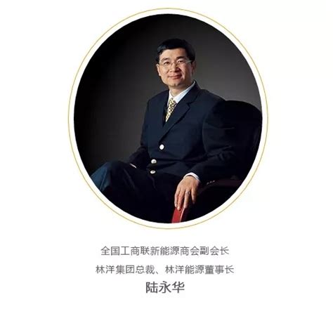 实力担当 林洋集团总裁、林洋能源董事长陆永华任全联新能源商会副会长林洋新能源林洋新能源科技林洋新能源科技有限公司智能节能新能源
